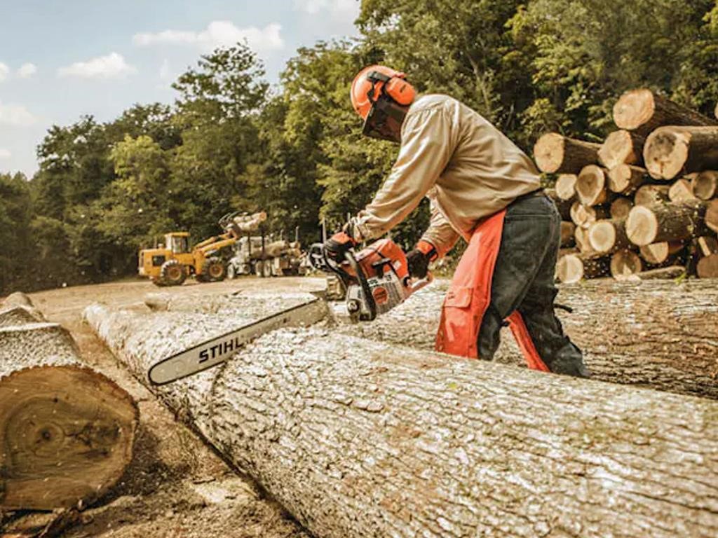 New MS 661 C-M MAGNUM for Sale | Burris Equipment