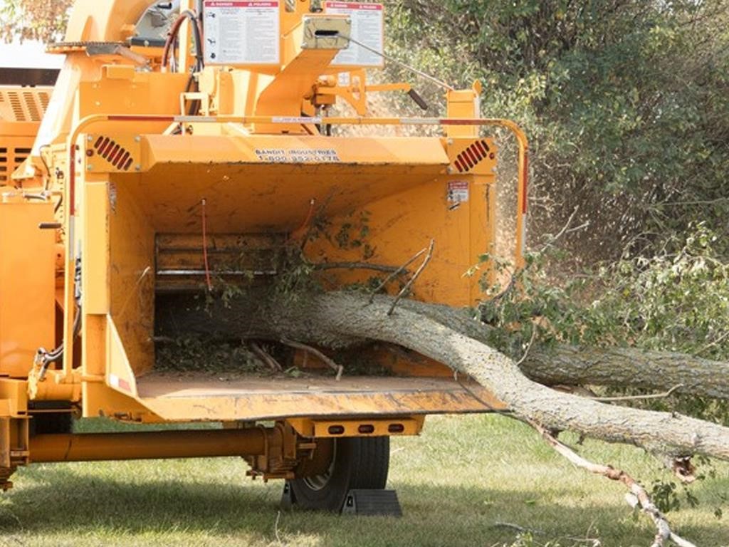 New INTIMIDATOR 18XP for Sale | Burris Equipment